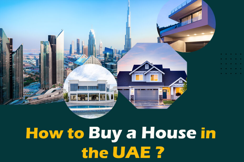 Dubai Life Archives WEDADO